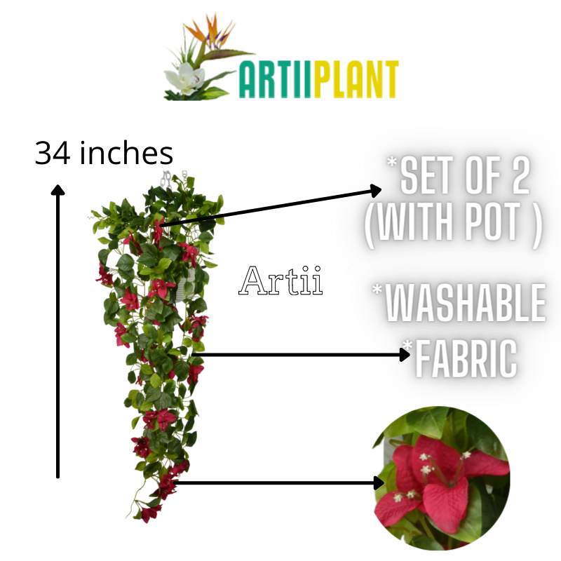 Artiiplant - Bouganvilla Falling Creepers