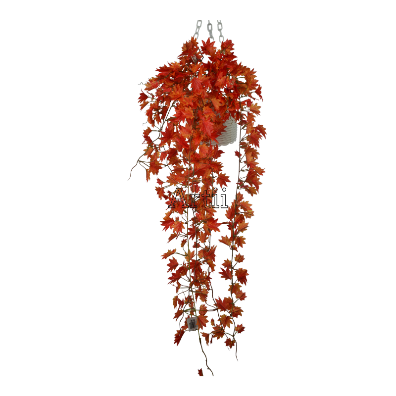Artiiplant - Maple Falling Creepers Arrangement