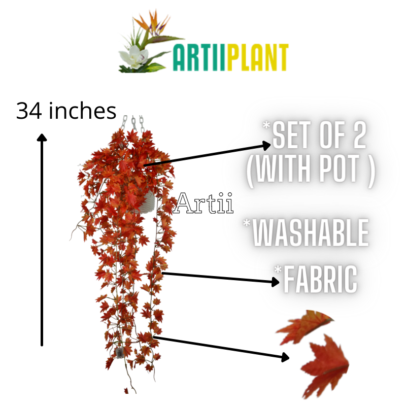 Artiiplant - Maple Falling Creepers Arrangement