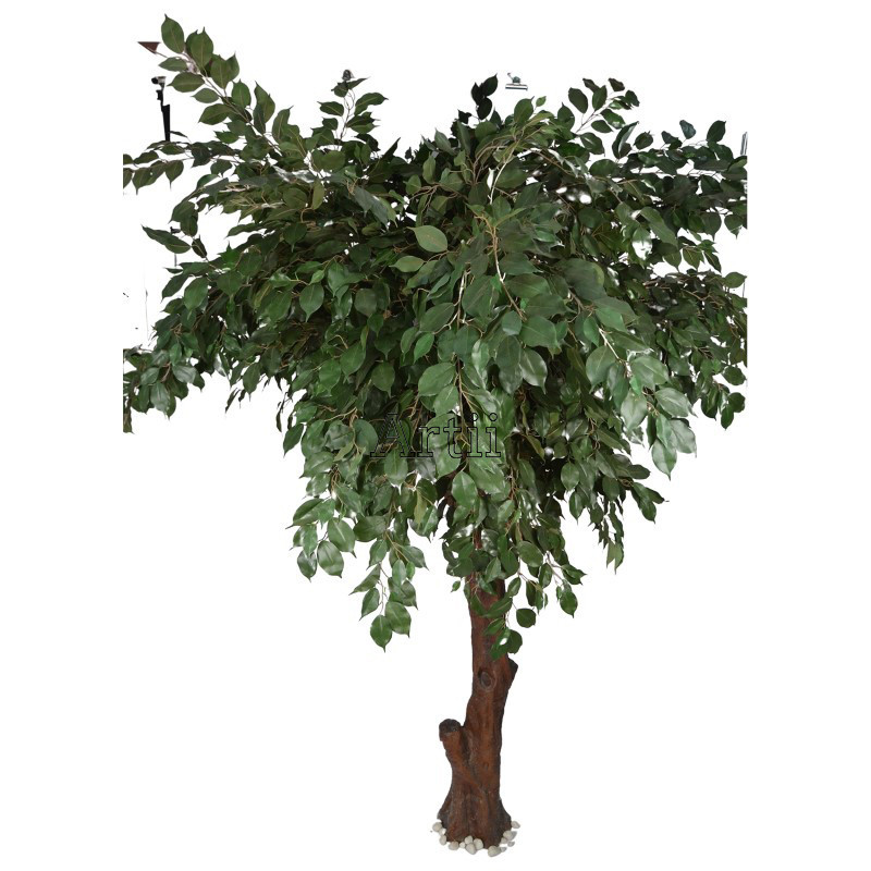 Artiiplant - Ficus Topiary Plant