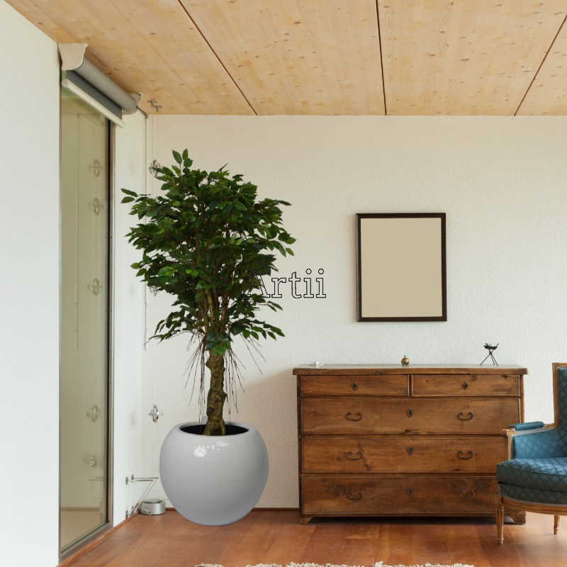 Artiiplant - Ficus Topiary Plant