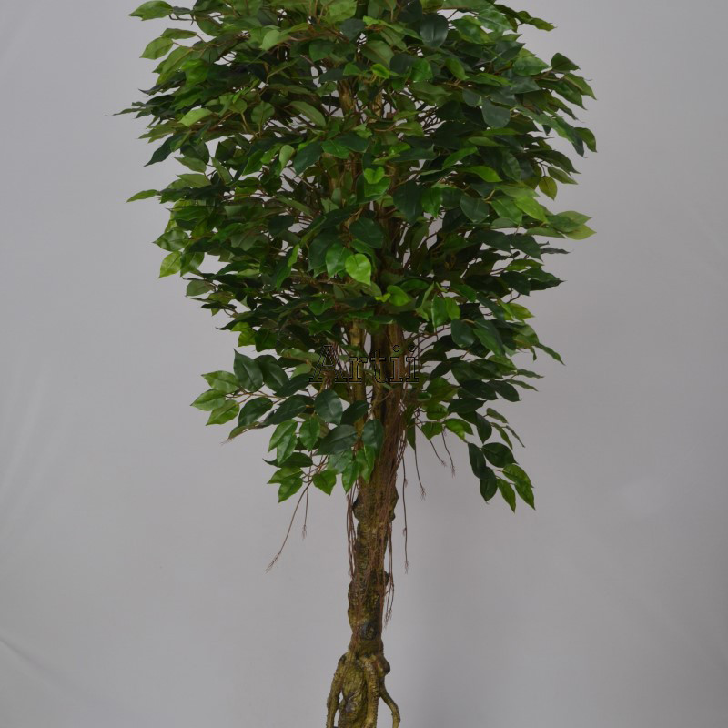 Artiiplant - Ficus Topiary Plant